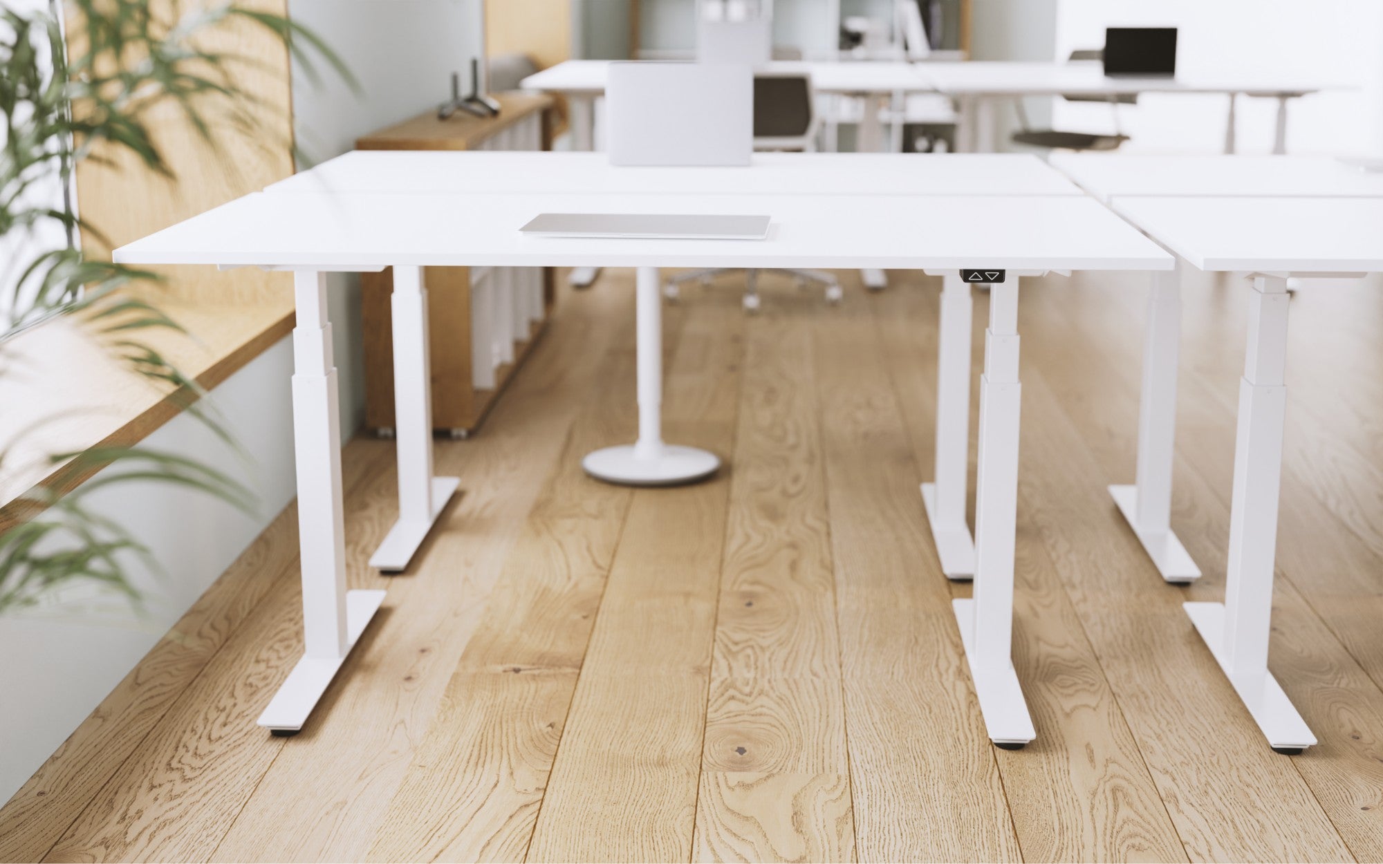 Flytta 2+ is a high-performance 3-Stage dual motor sit-stand desk ...